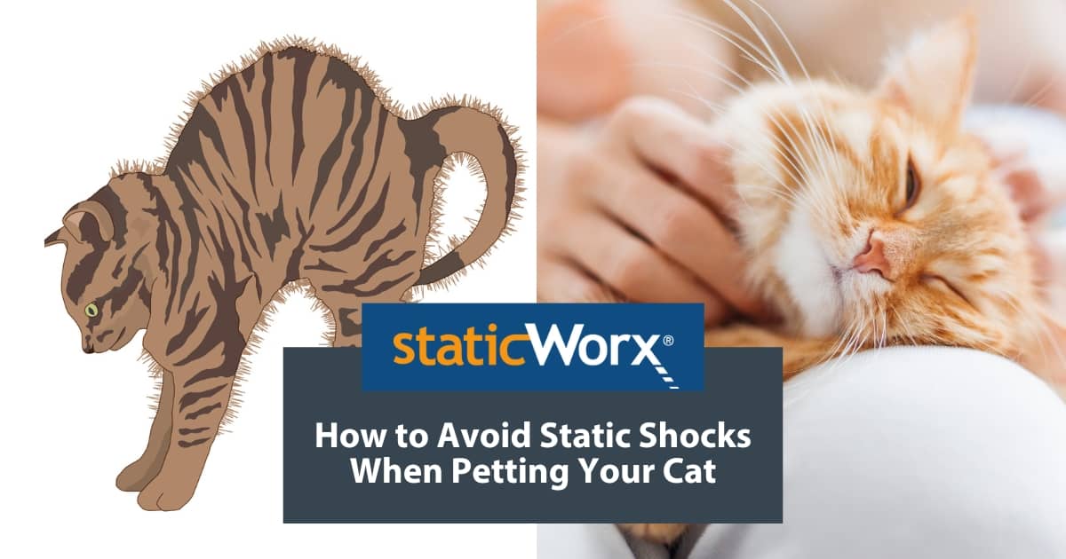 Shock Free! How to Avoid Static Shocks When Petting Your Cat